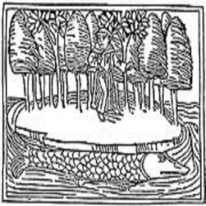 No Turtle Is an Island, Except for the Fastitocalon Called ...